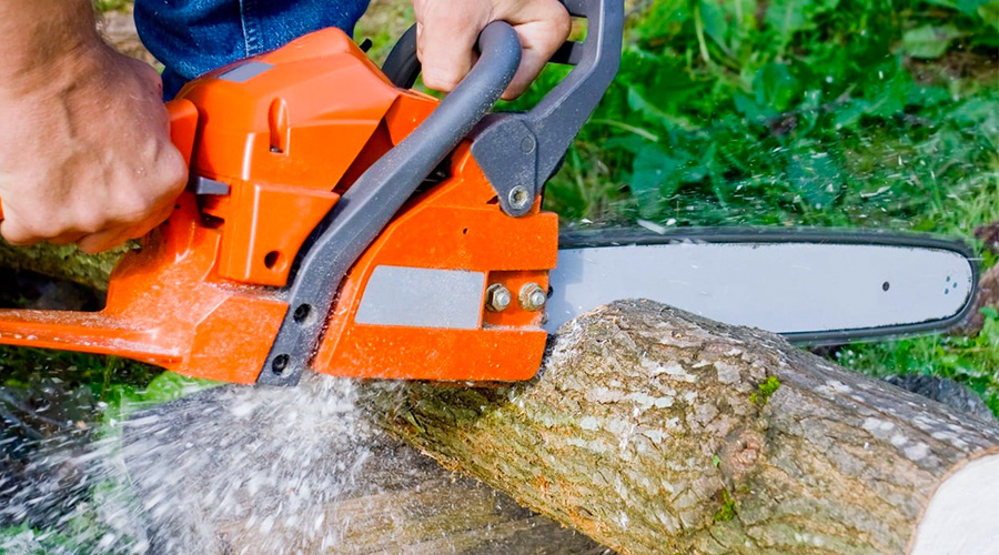 Les meilleures tronçonneuses : guide et comparatif